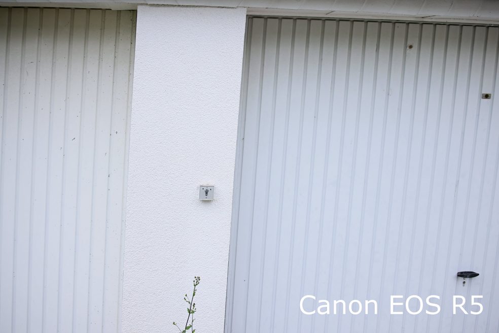 Radomir Jakubowski Naturfoto Camp